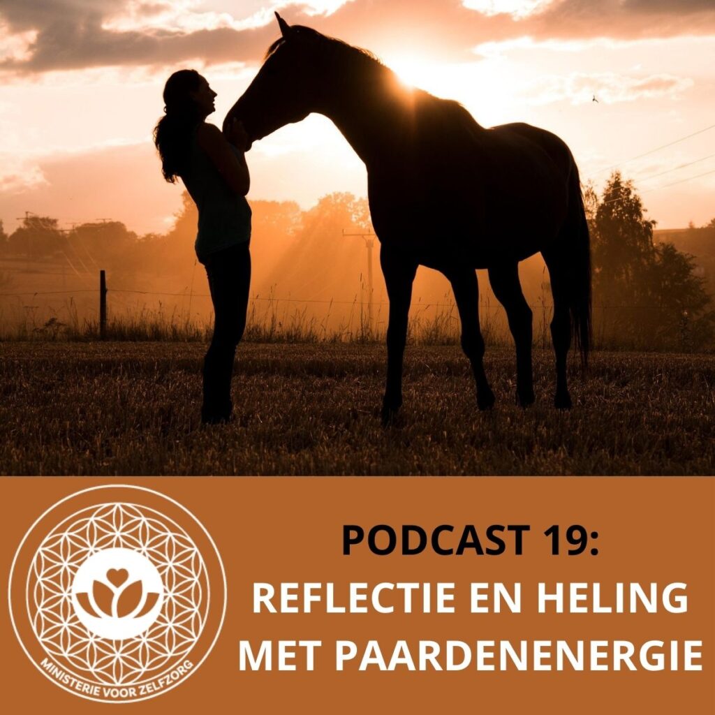Podcast 19: Reflectie en heling met paardenenergie - Zelf Gezond